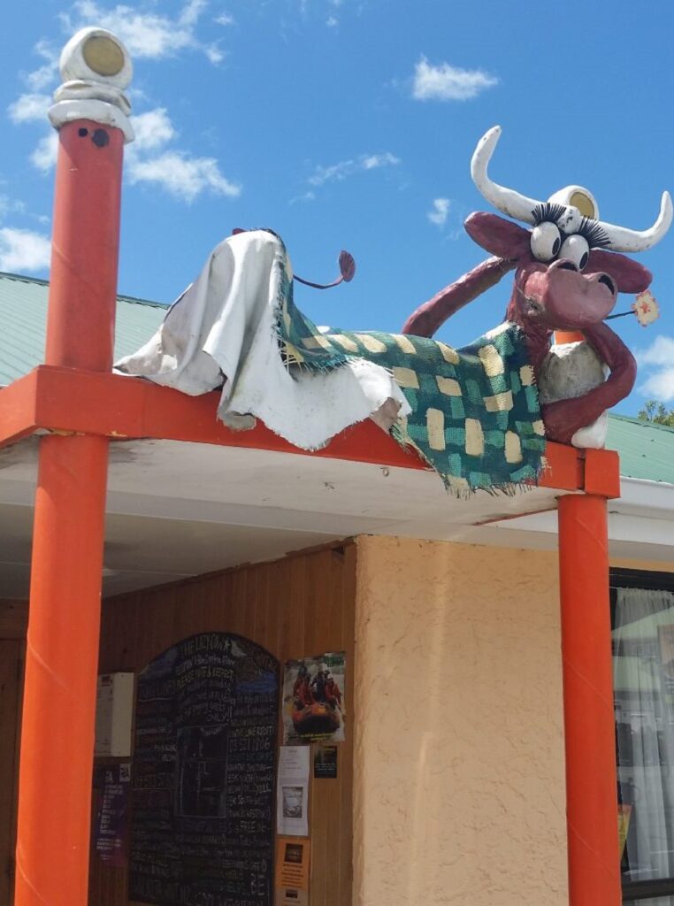 The Lazy Cow – Murchison, South Island